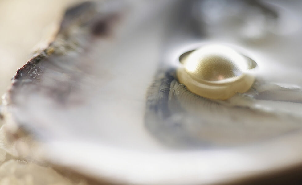 Pearl Powder and it's Secret Benefits — Na'vi Organics